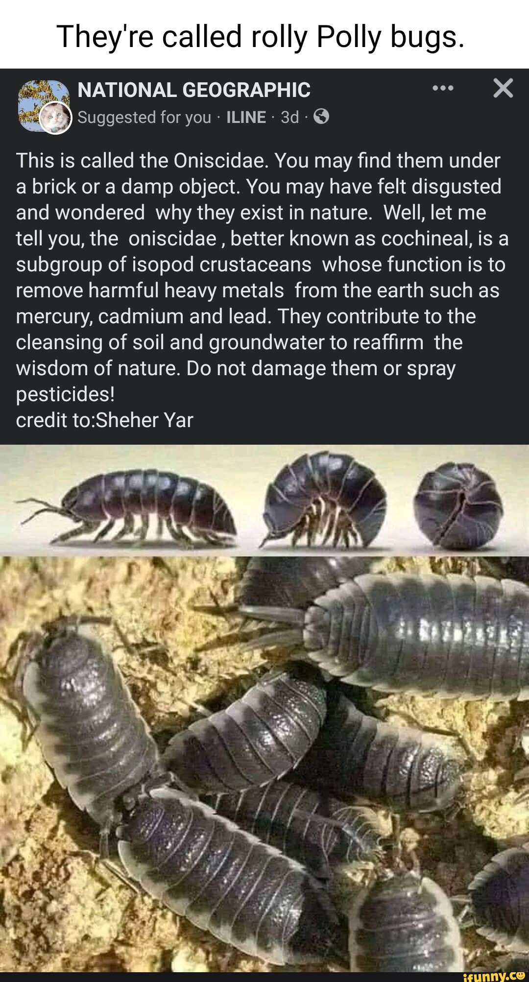 Geographic memes. Best Collection of funny Geographic pictures on iFunny