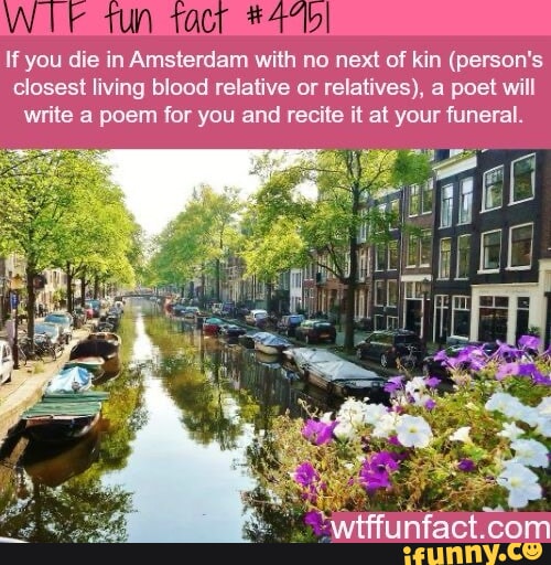 Amsterdam memes. Best Collection of funny Amsterdam pictures on iFunny