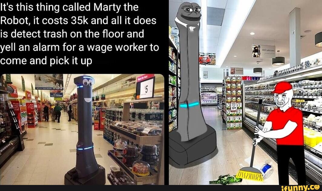 It's this thing called Marty the Robot, it costs and all it does is ...