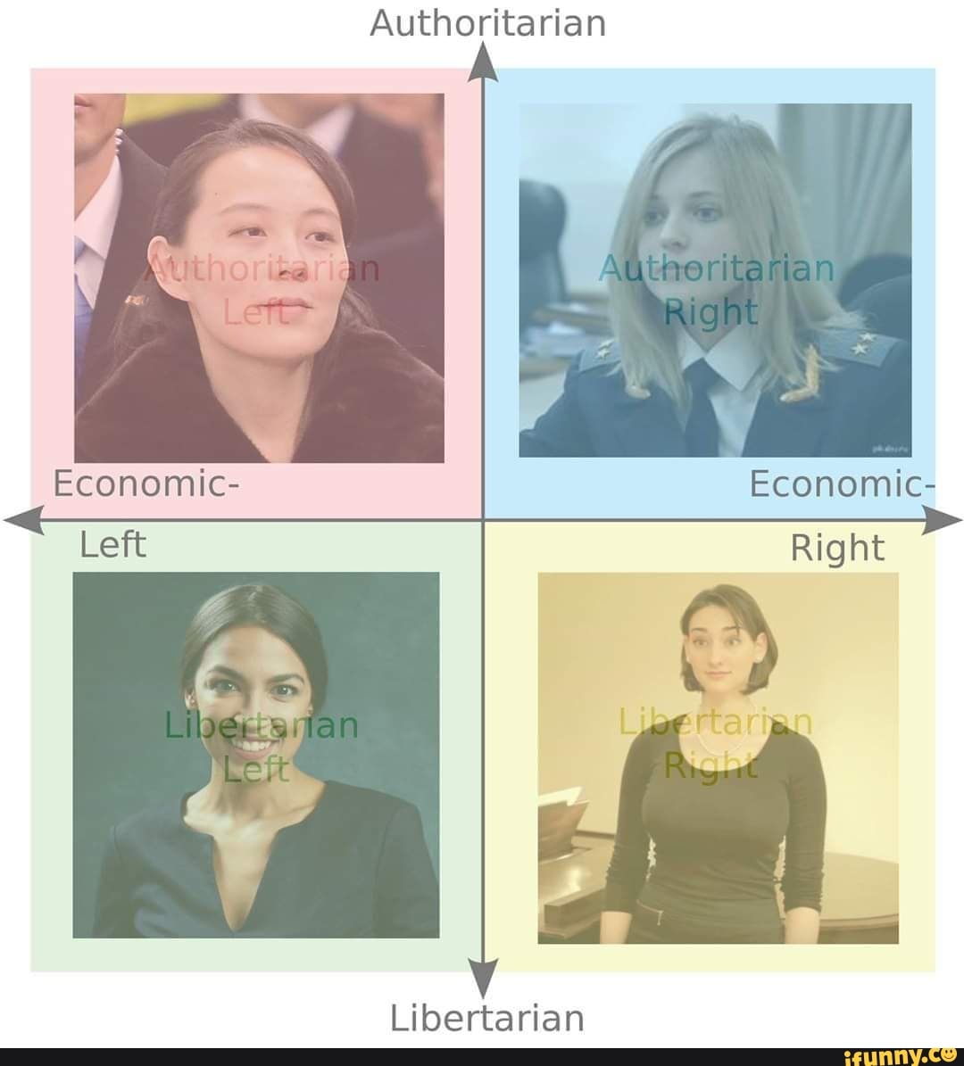 Authoritarian Libertarian - iFunny