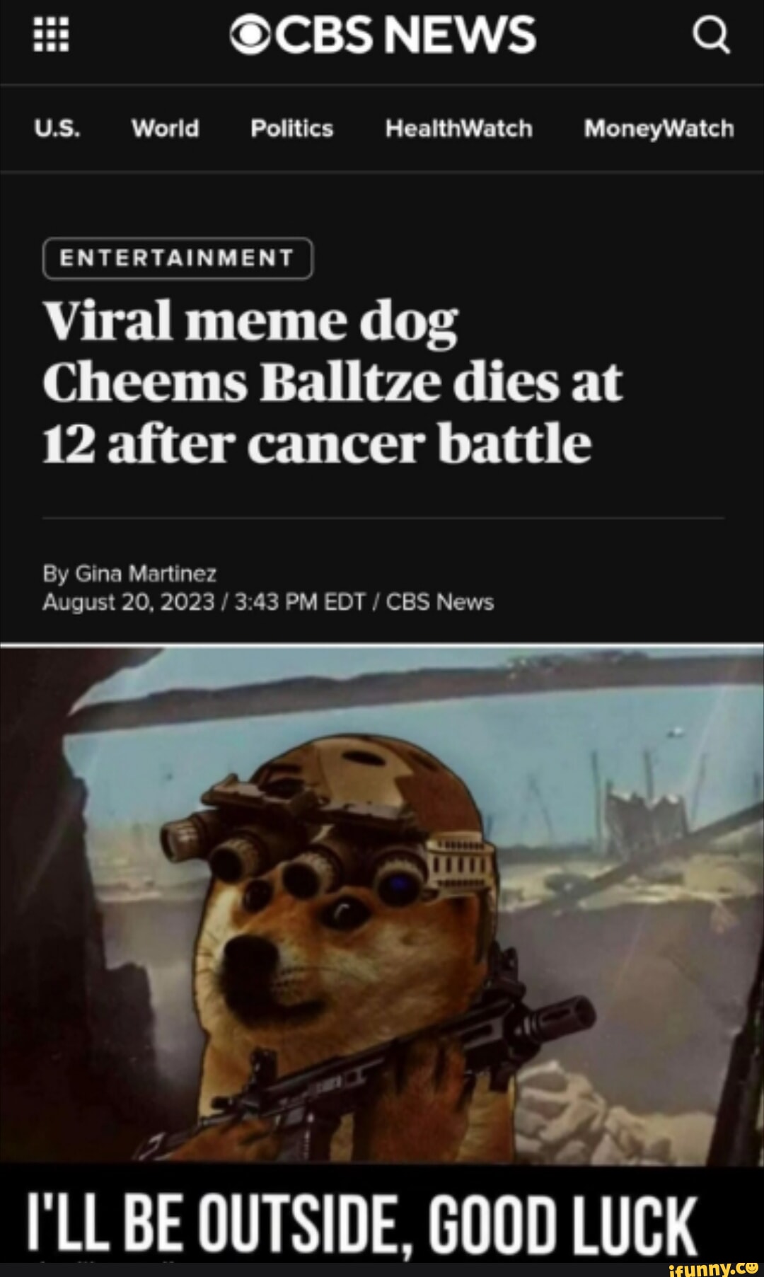 Cheems memes. Best Collection of funny Cheems pictures on iFunny