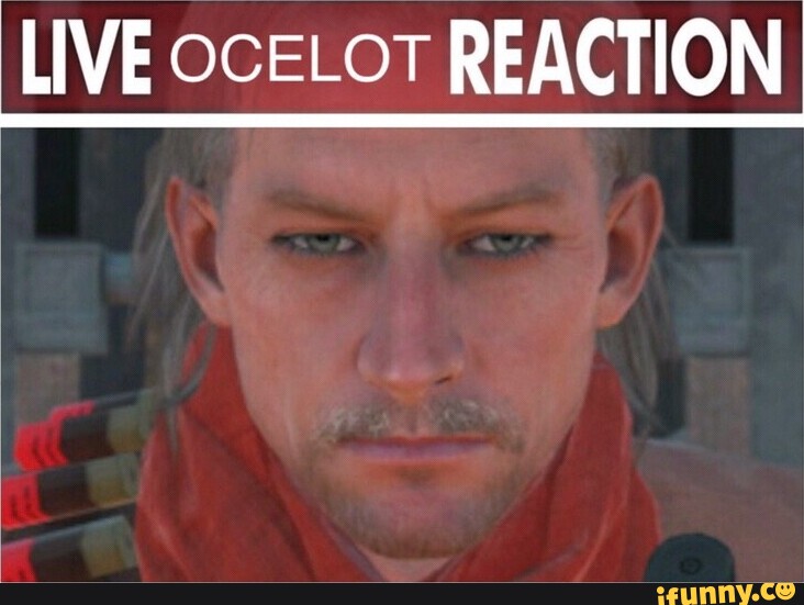LIVE OCELOT REACTION - iFunny