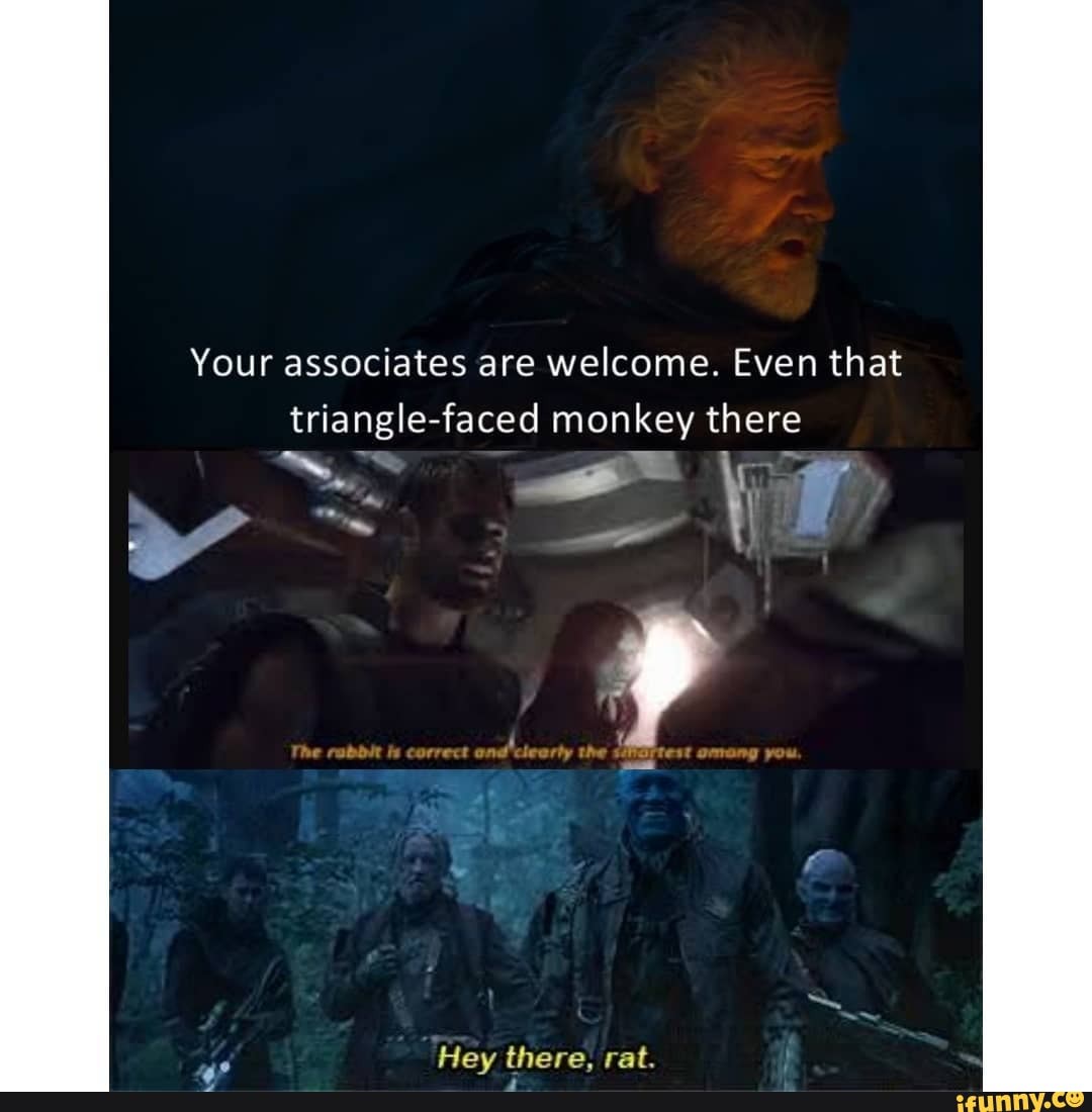 Your associates are welcome. Even that triangle-faced monkey there Hey ...