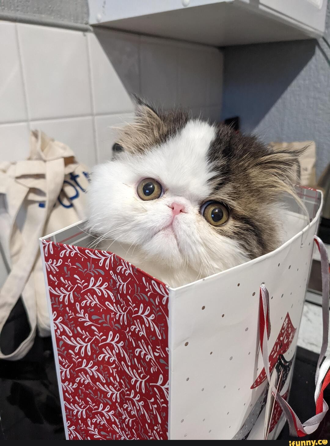 Mooncake memes. Best Collection of funny Mooncake pictures on iFunny