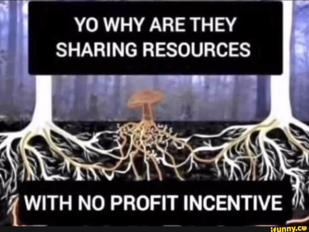 YO WHY ARE THEY SHARING RESOURCES AS ' aw, GS fy WITH NO PROFIT ...