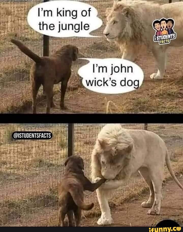 KITTY CAUGHT SUCKIN ON DA BINKY IN CHICAGO. MAY FACE LIFE IN PRISON How ...