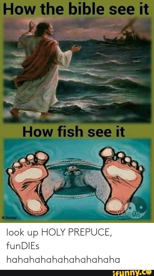 Fundies memes. Best Collection of funny Fundies pictures on iFunny