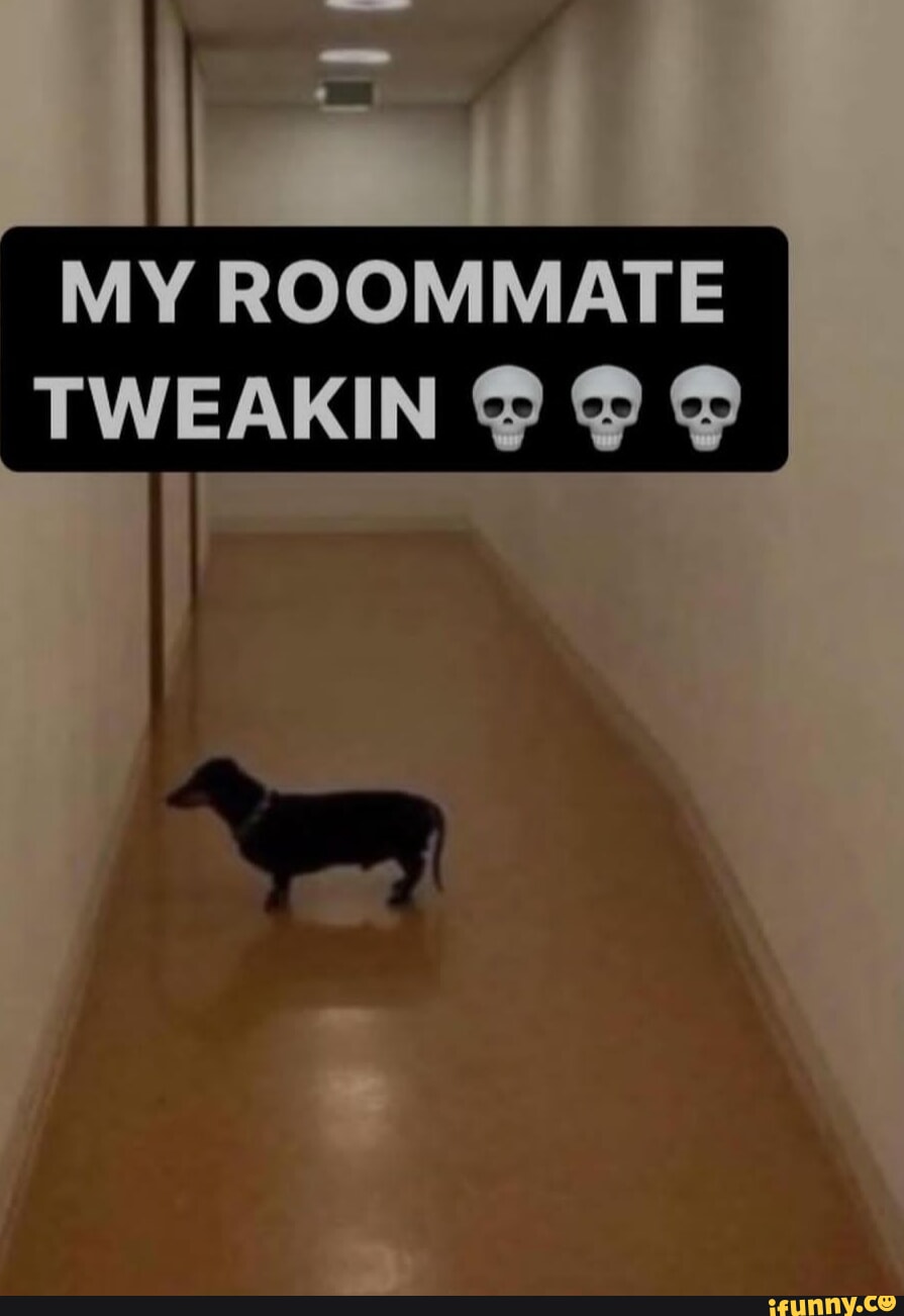 MY ROOMMATE TWEAKIN - iFunny