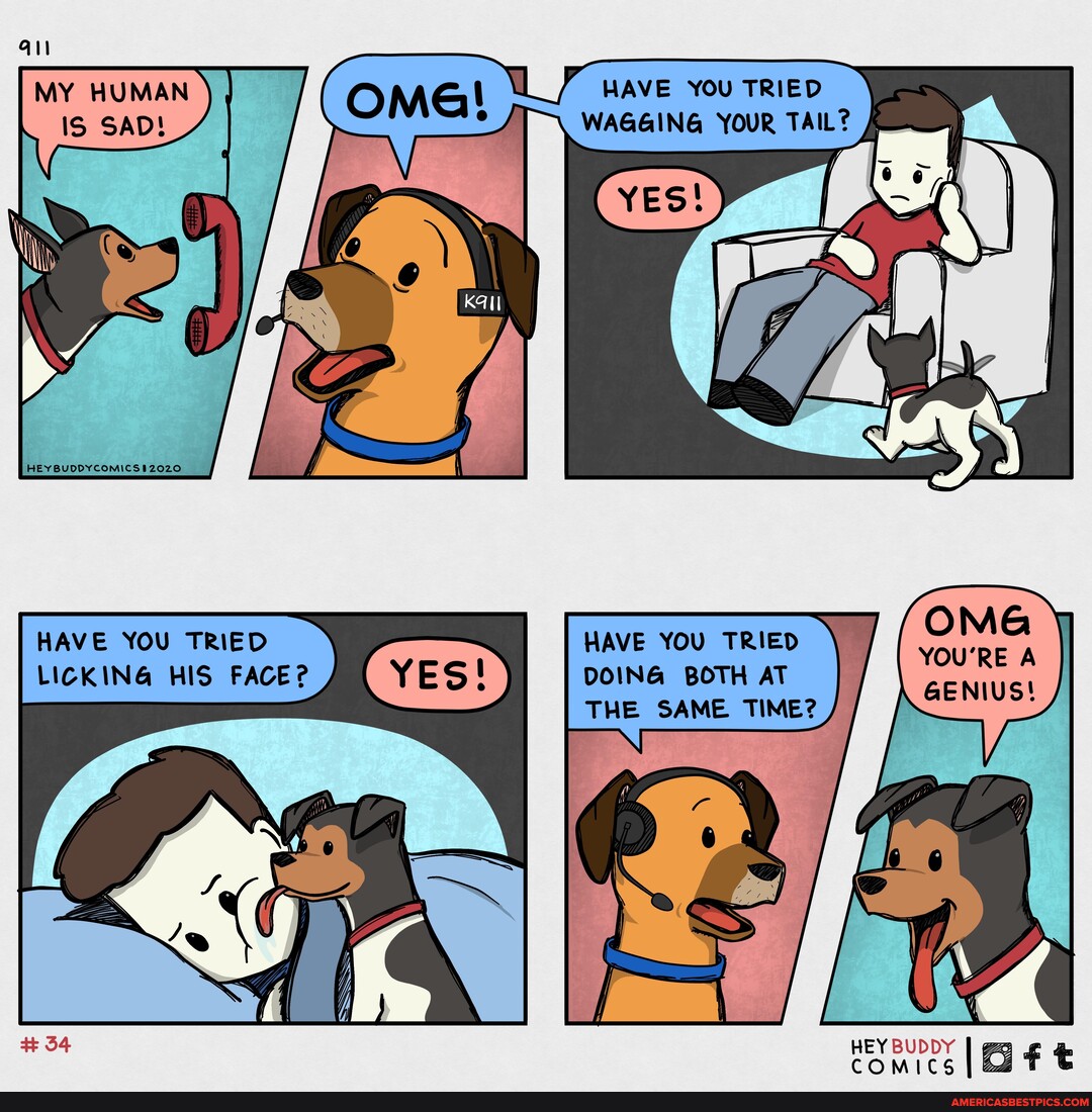 MY HUMAN HAVE YOU TRIED IS SAD! WAGGING YOUR TAIL? HAVE YOU TRIED DOING ...