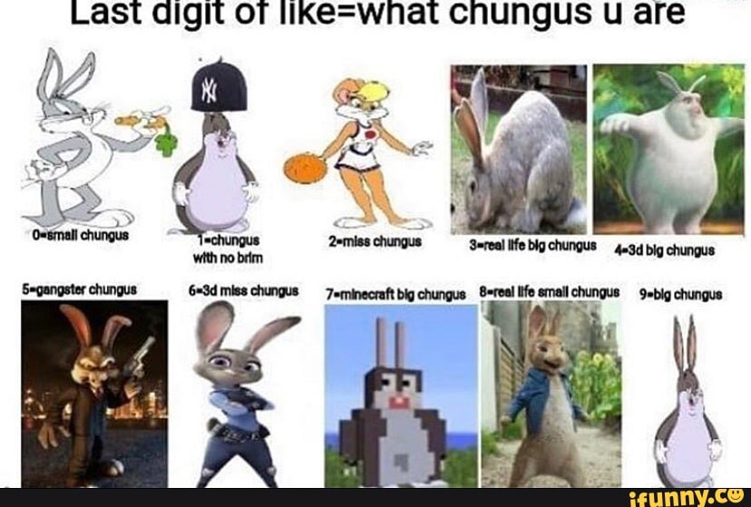Last digit Chungus are 2emiss chungus -gerealitfe big chungus big ...
