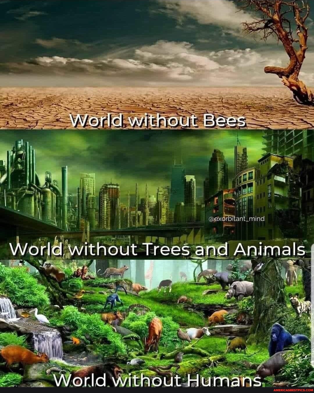 Worid without Bees World without Trees and Animals World without ...