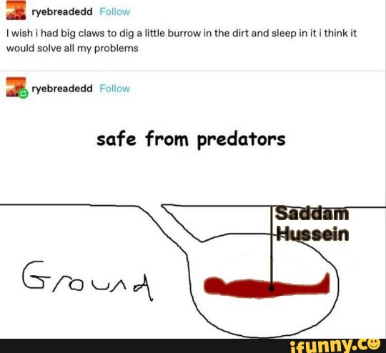 I wish had big claws to dig a little burrow in the dirt and sleep in it ...