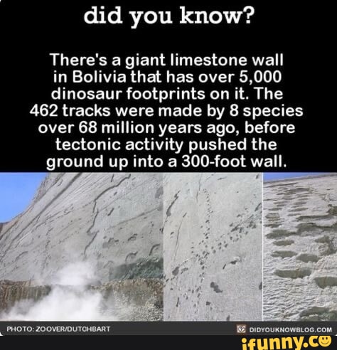 Tectonic memes. Best Collection of funny Tectonic pictures on iFunny