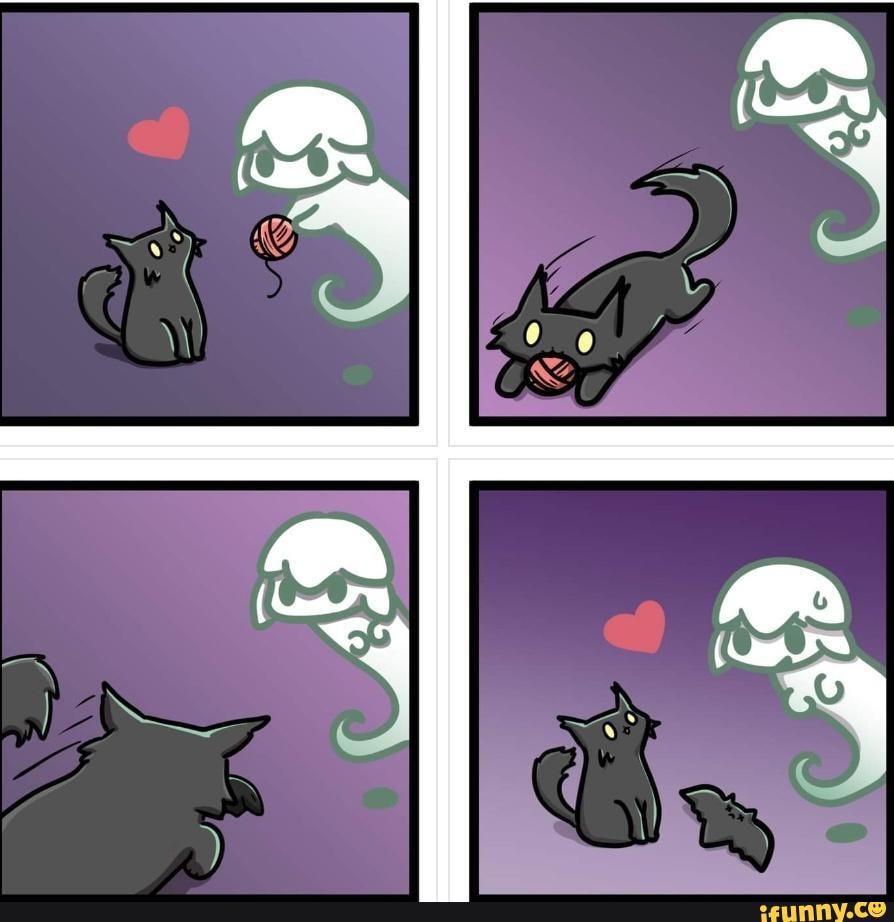 Spiders_crawling_in_your_skin memes. Best Collection of funny Spiders ...