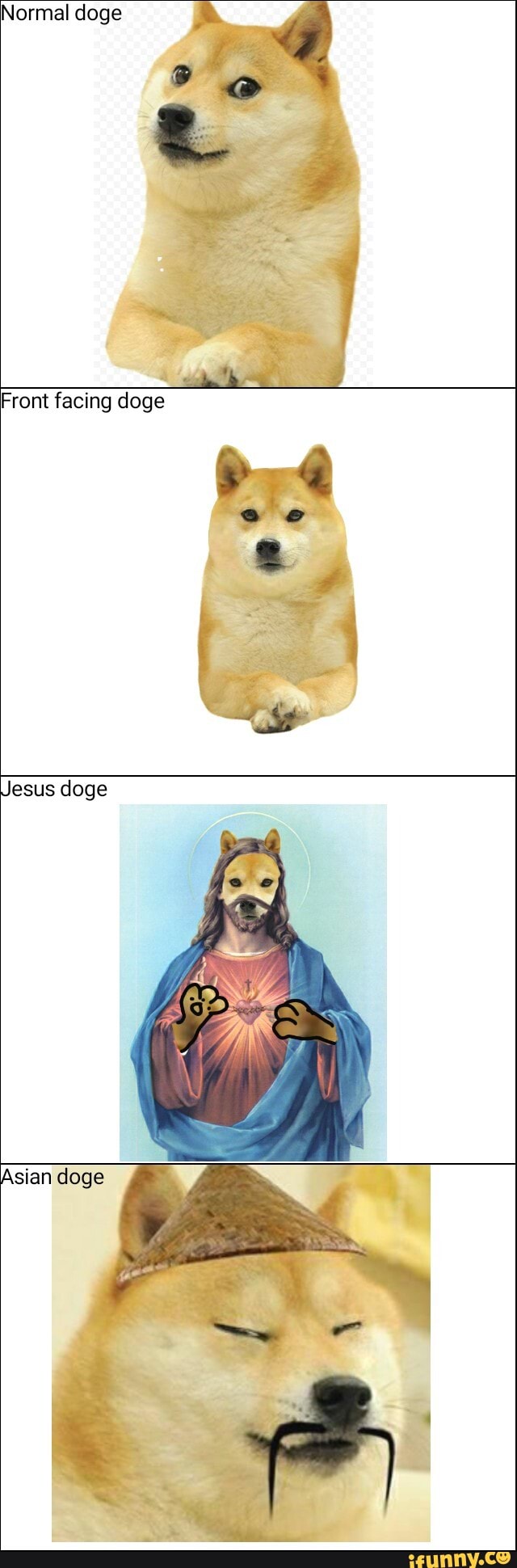 Asiandoge memes. Best Collection of funny Asiandoge pictures on iFunny