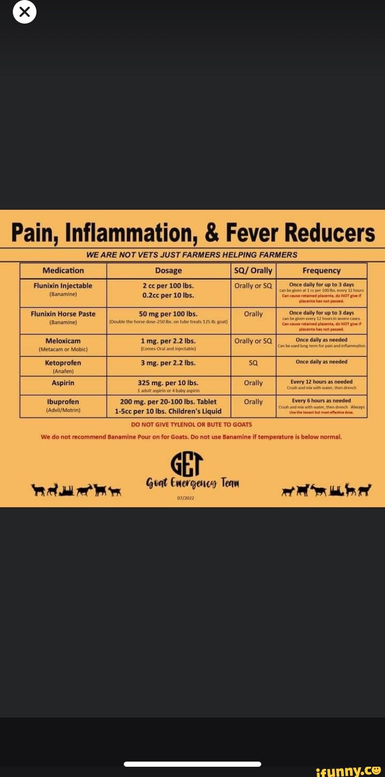 Injectable memes. Best Collection of funny Injectable pictures on iFunny