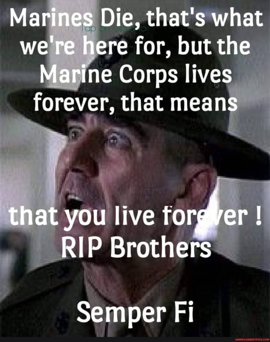 Marines Die, that's what we're here for, but the Marine Corps lives ...