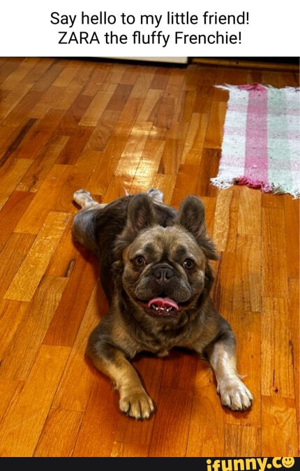 Zara memes. Best Collection of funny Zara pictures on iFunny