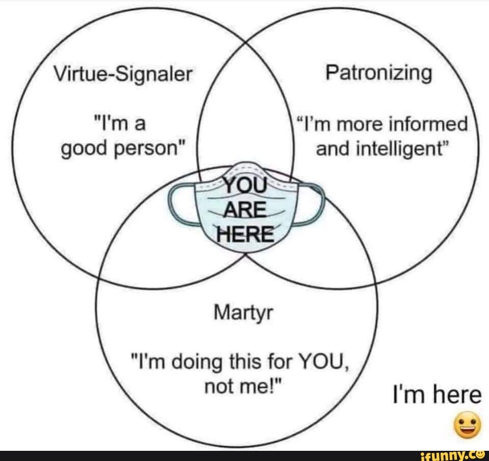 Virtue-Signaler Patronizing "I'ma good person" "l'm more informed and ...