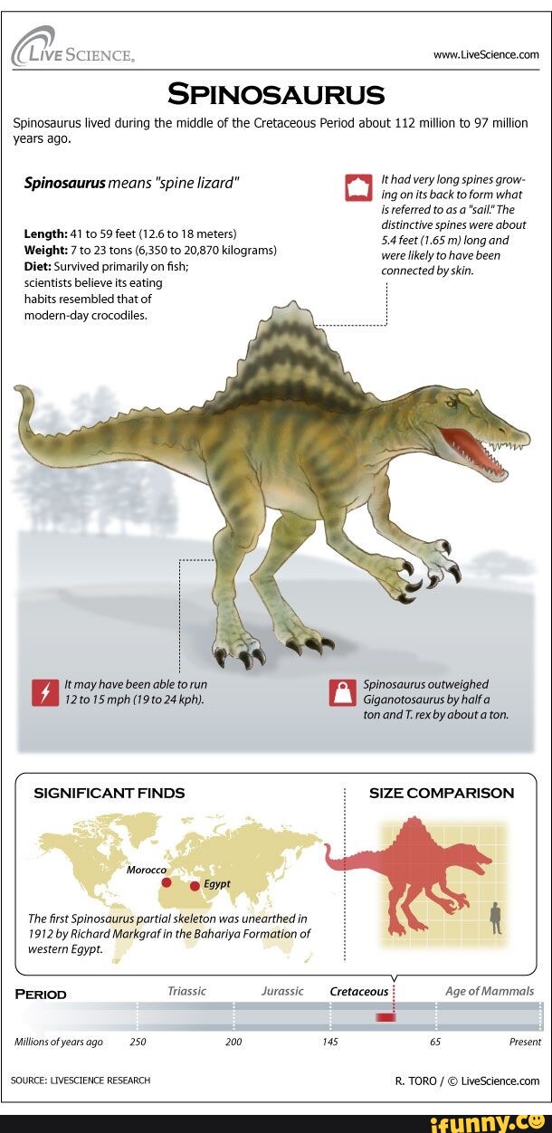 E SCIENCE, www.LiveScience.com_ SPINOSAURUS Spinosaurus lived during ...