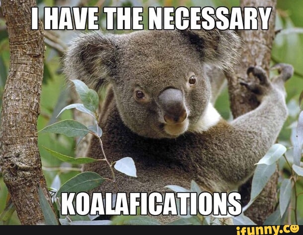 Koalafications memes. Best Collection of funny Koalafications pictures ...
