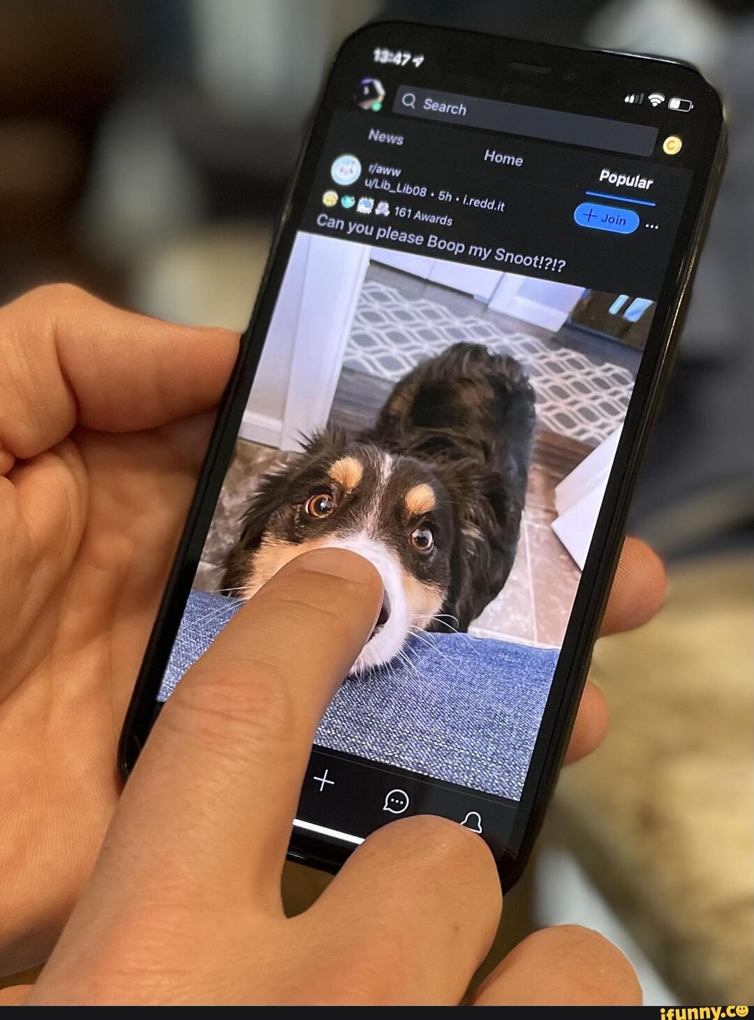 Snoot memes. Best Collection of funny Snoot pictures on iFunny