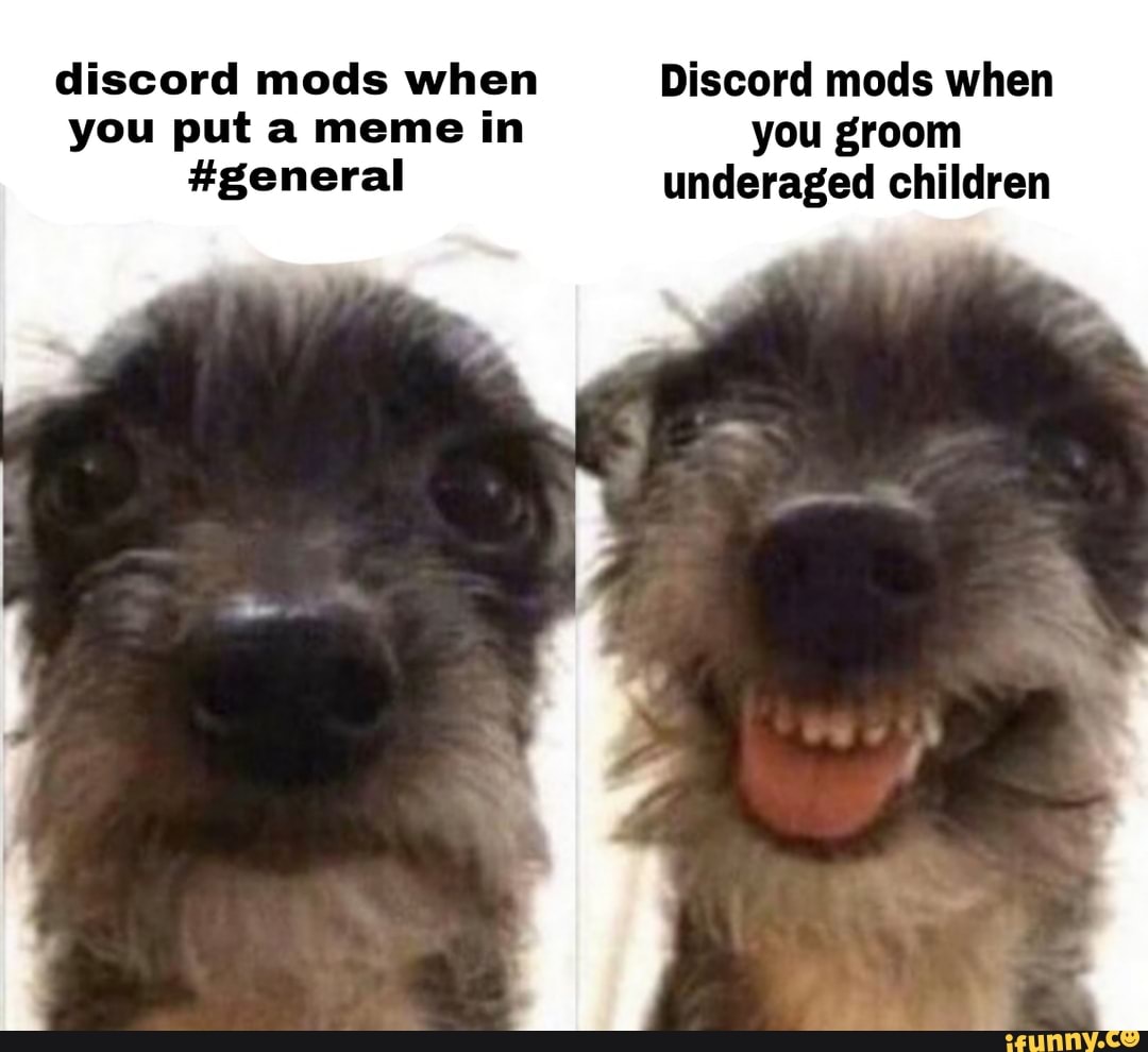 Discord mods when Discord mods when you put a meme in you groom # ...