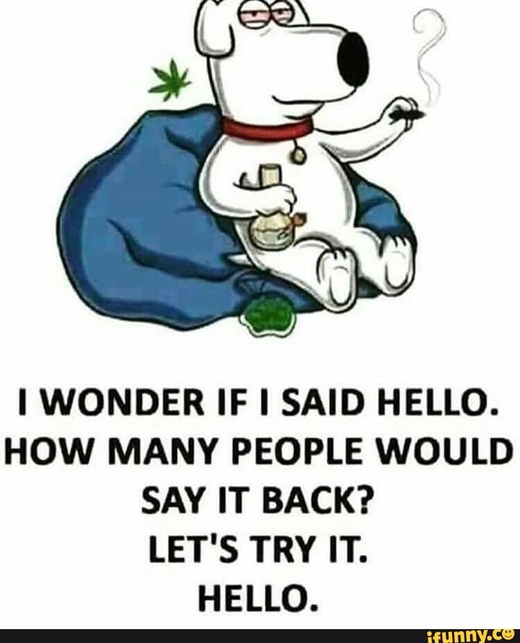 WONDER IF I SAID HELLO. HOW MANY PEOPLE WOULD SAY IT BACK? LET'S TRY IT ...