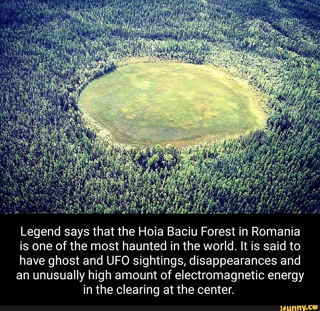 Legend says that the Hoia Baciu Forest in Romania is one of the most ...