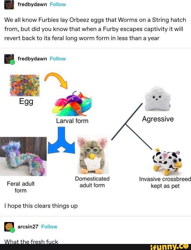Furbies memes. Best Collection of funny Furbies pictures on iFunny