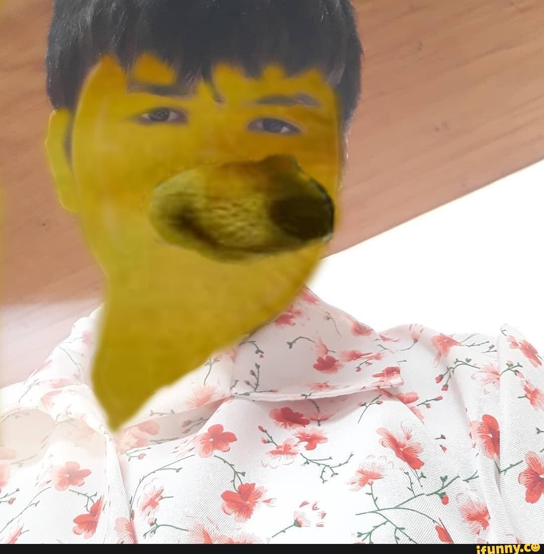 Panda cheems - iFunny