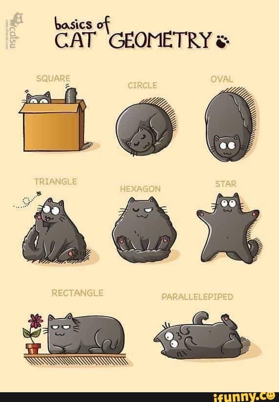 Basics of CAT GEOMETRY & QUARE OVAL SQUARE CIRCLE TRIANGLE STAR HEXAGON ...