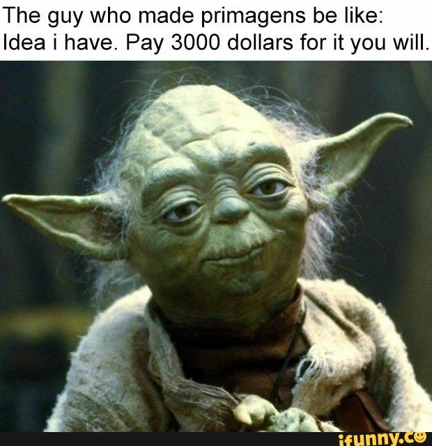 The guy who made primagens be like: Idea i have. Pay 3000 dollars for ...