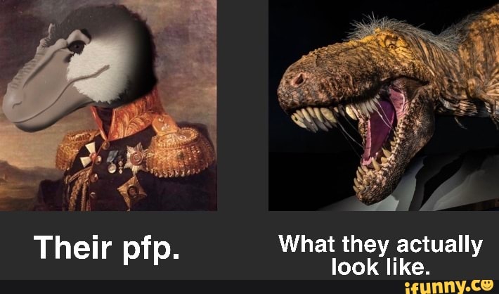 Their pip. What they actually look like. - iFunny