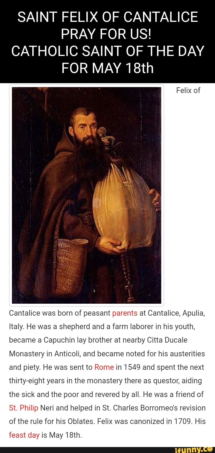 Capuchin memes. Best Collection of funny Capuchin pictures on iFunny