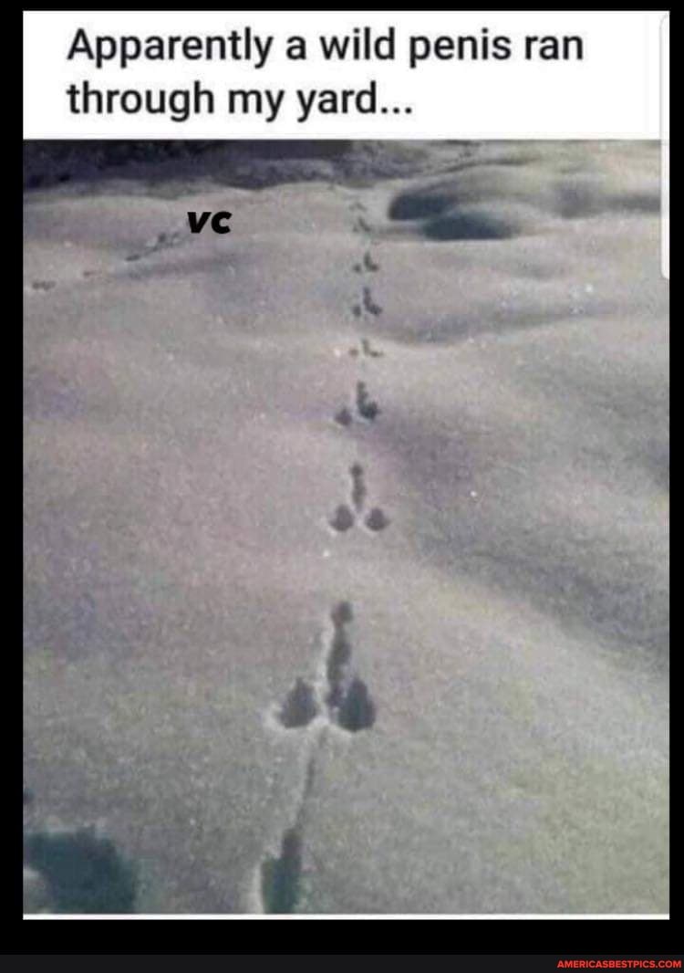 Apparently a wild penis ran through my yard... - America’s best pics ...
