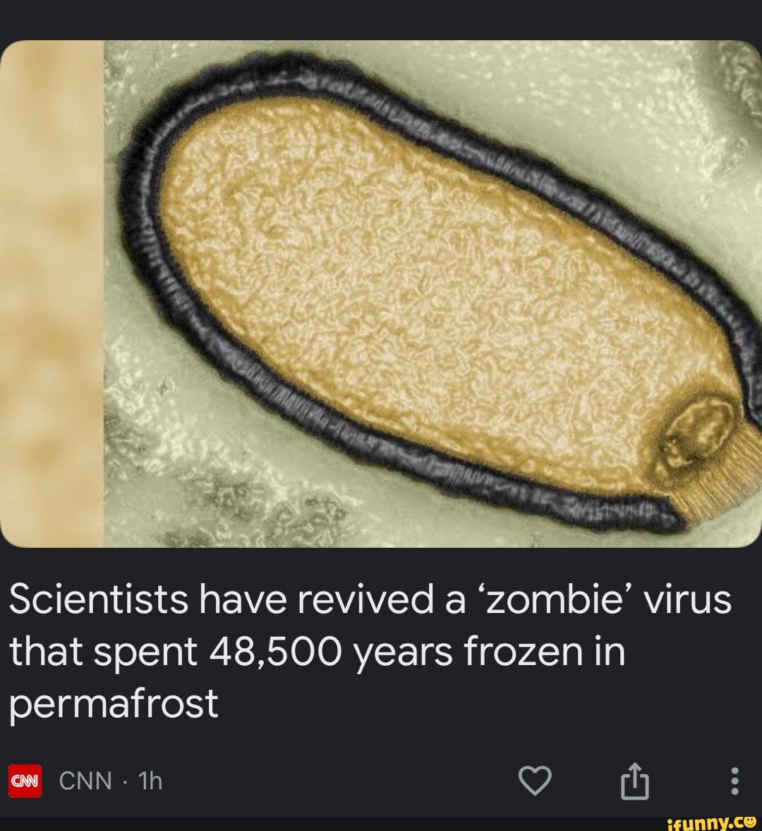 Scientists have revived a 'zombie' virus that spent 48,500 years frozen ...