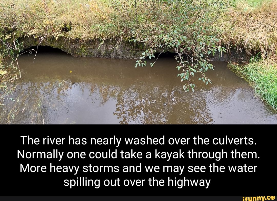Culverts memes. Best Collection of funny Culverts pictures on iFunny