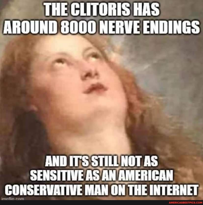 THE CLITORIS HAS AROUND 8000 NERVE ENDINGS AND ITS STILL NOT AS SENSITIVE AS AN AMERIGAN ...