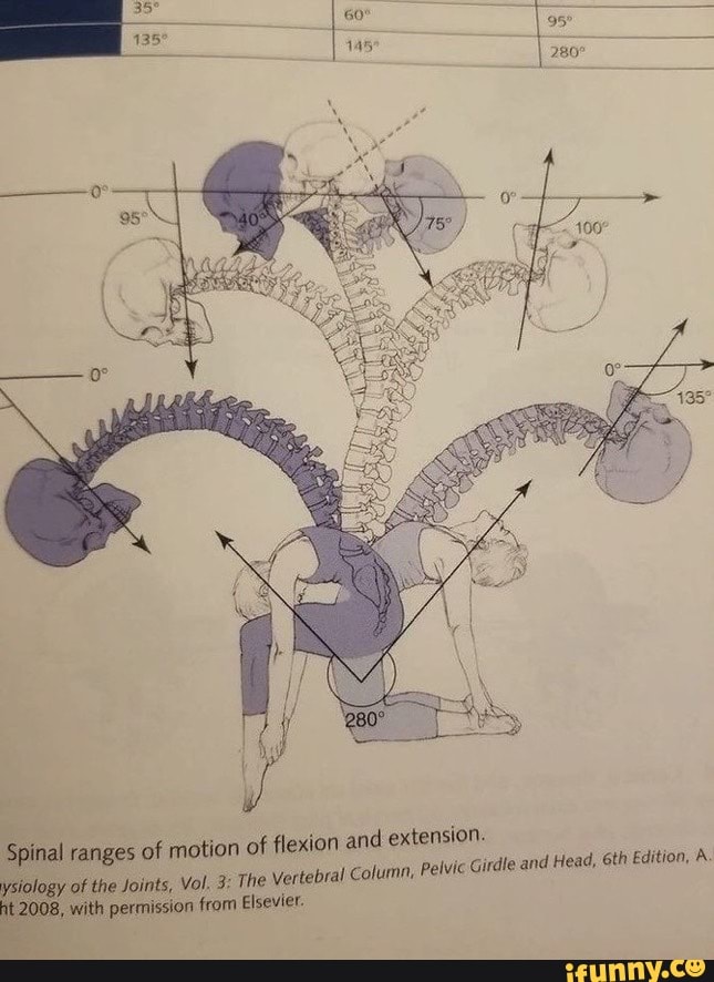 - 60 280 flexion and extension. Column, Pelvic Girdle and Head, Edition ...