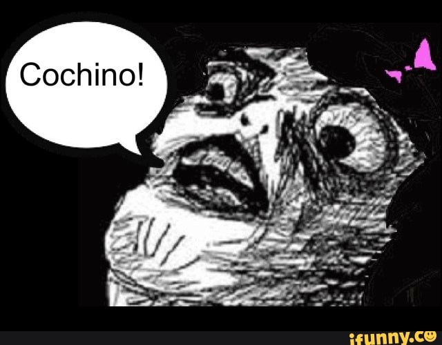 Cochino memes. Best Collection of funny Cochino pictures on iFunny