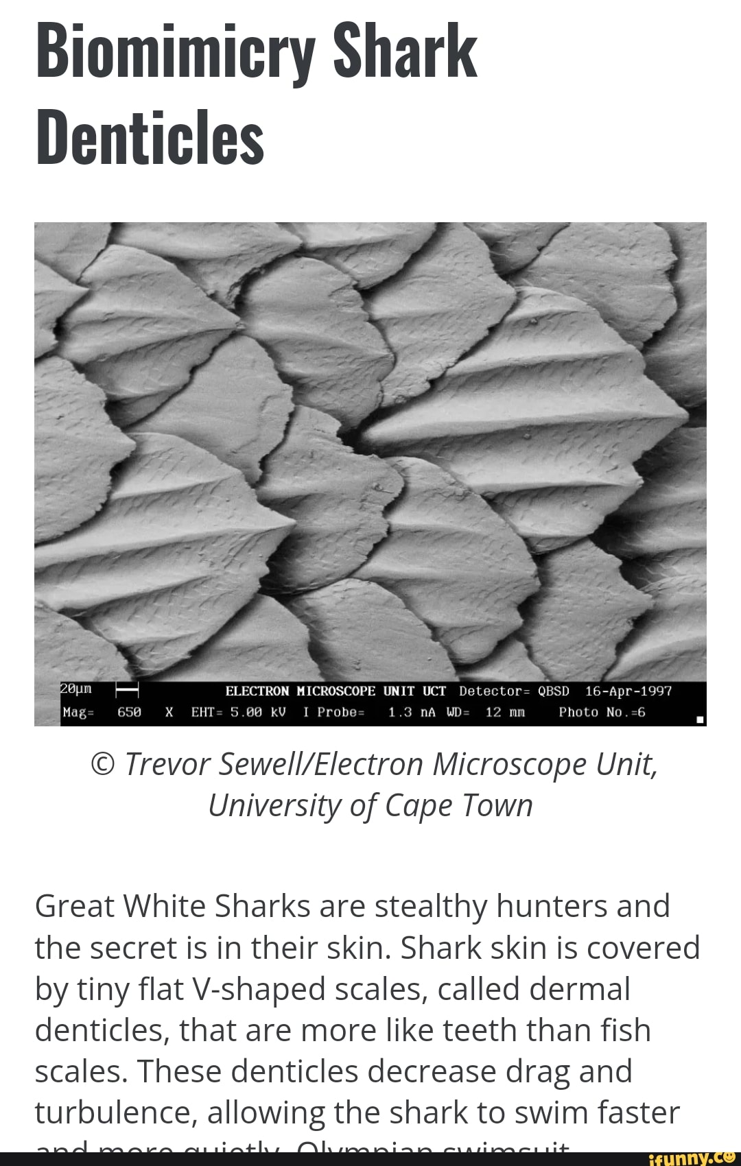 Biomimicry memes. Best Collection of funny Biomimicry pictures on iFunny