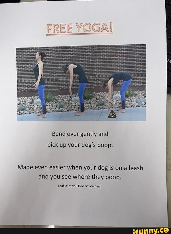 FREE Bend over gently and pick up your dog's poop. Made even easier ...