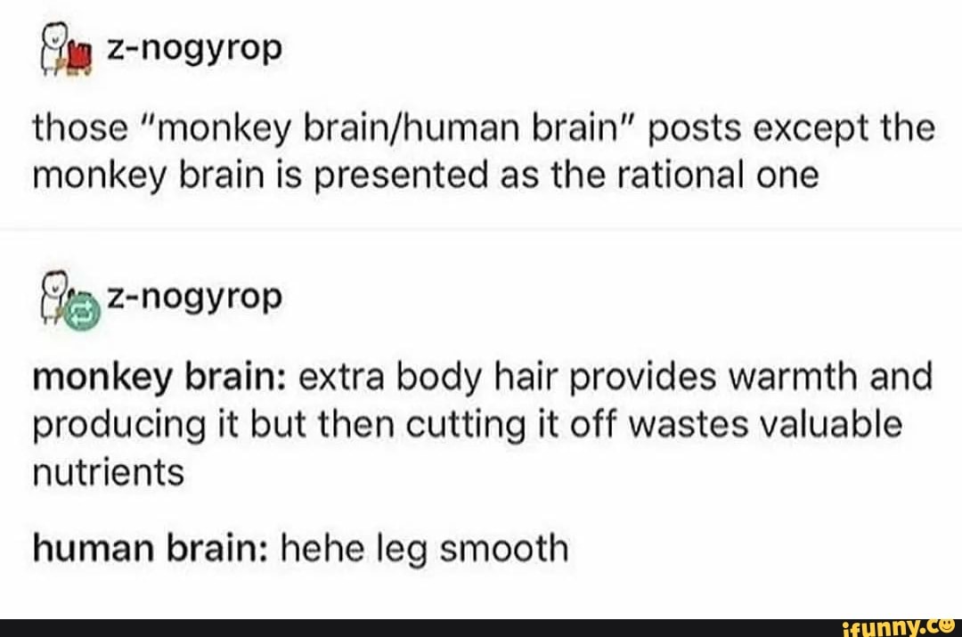 Monkeybrain memes. Best Collection of funny Monkeybrain pictures on iFunny