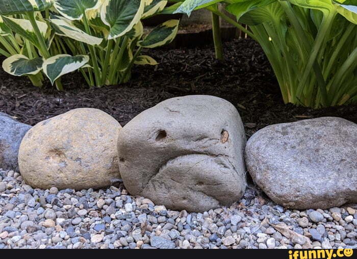 Hostas memes. Best Collection of funny Hostas pictures on iFunny