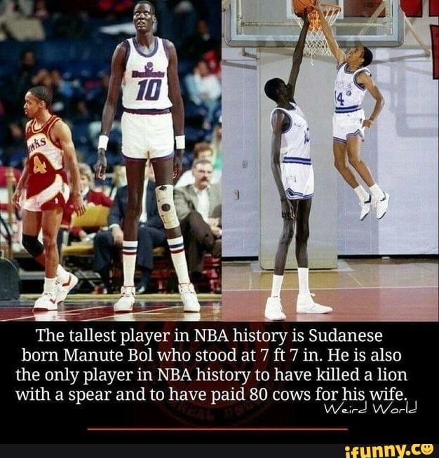 The tallest player in NBA history is Sudanese born Manute Bol who stood ...
