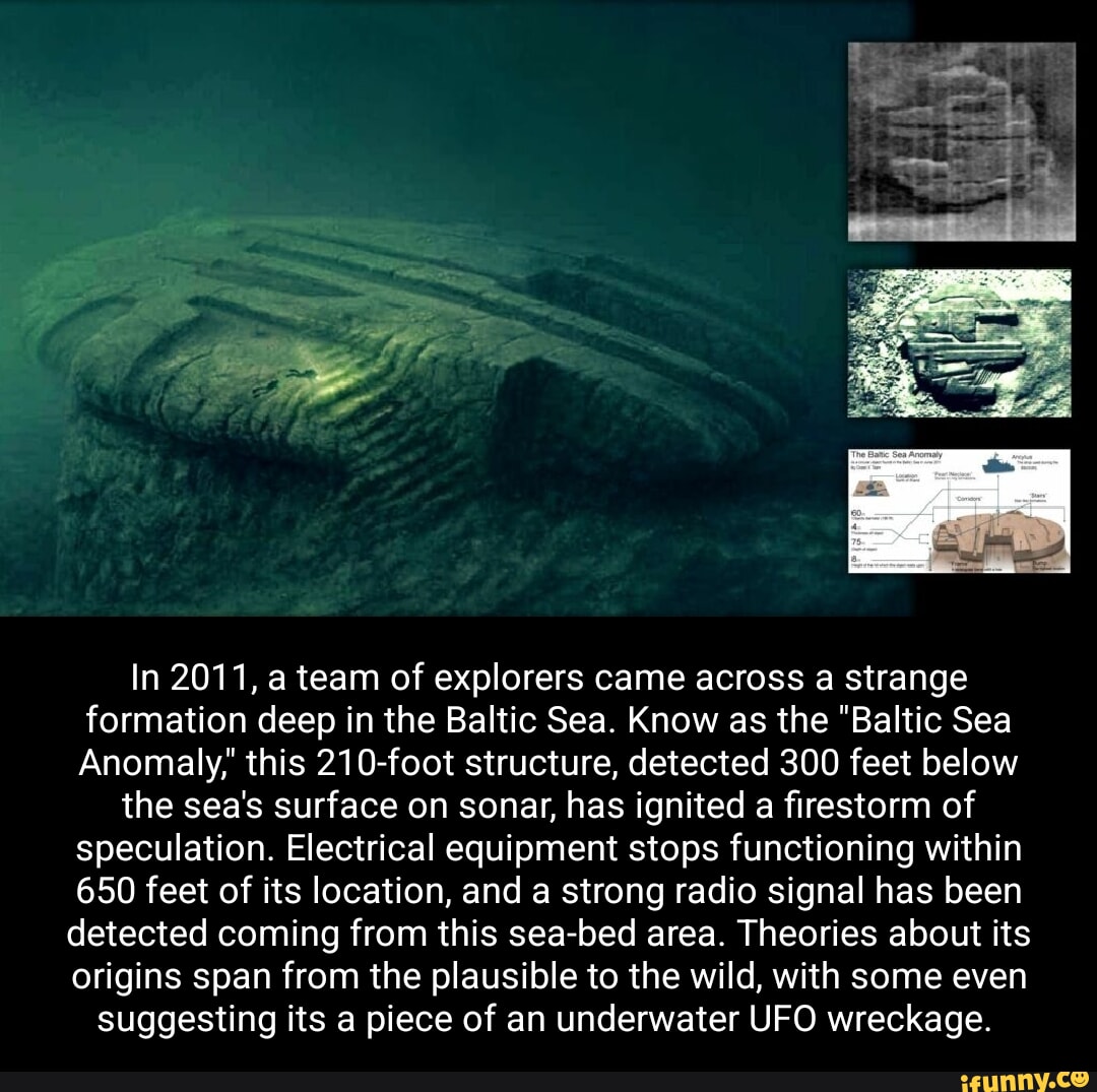 Me after bullying the local turned me into a cat) - iFunny