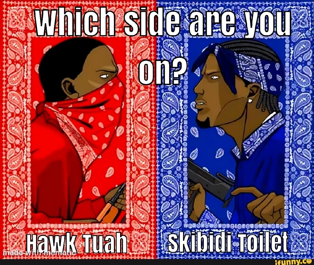 Which side are you On? OBOE Hawk Tuah -Skibidi Toilet - iFunny