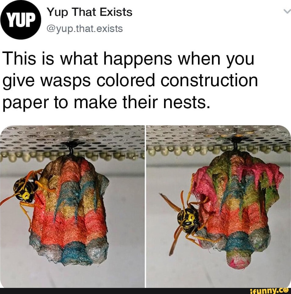 This is what happens when you give wasps colored construction paper to ...