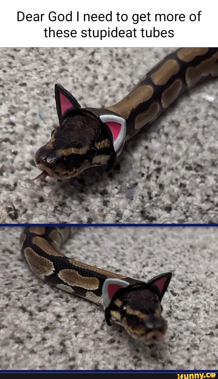 Tubes memes. Best Collection of funny Tubes pictures on iFunny